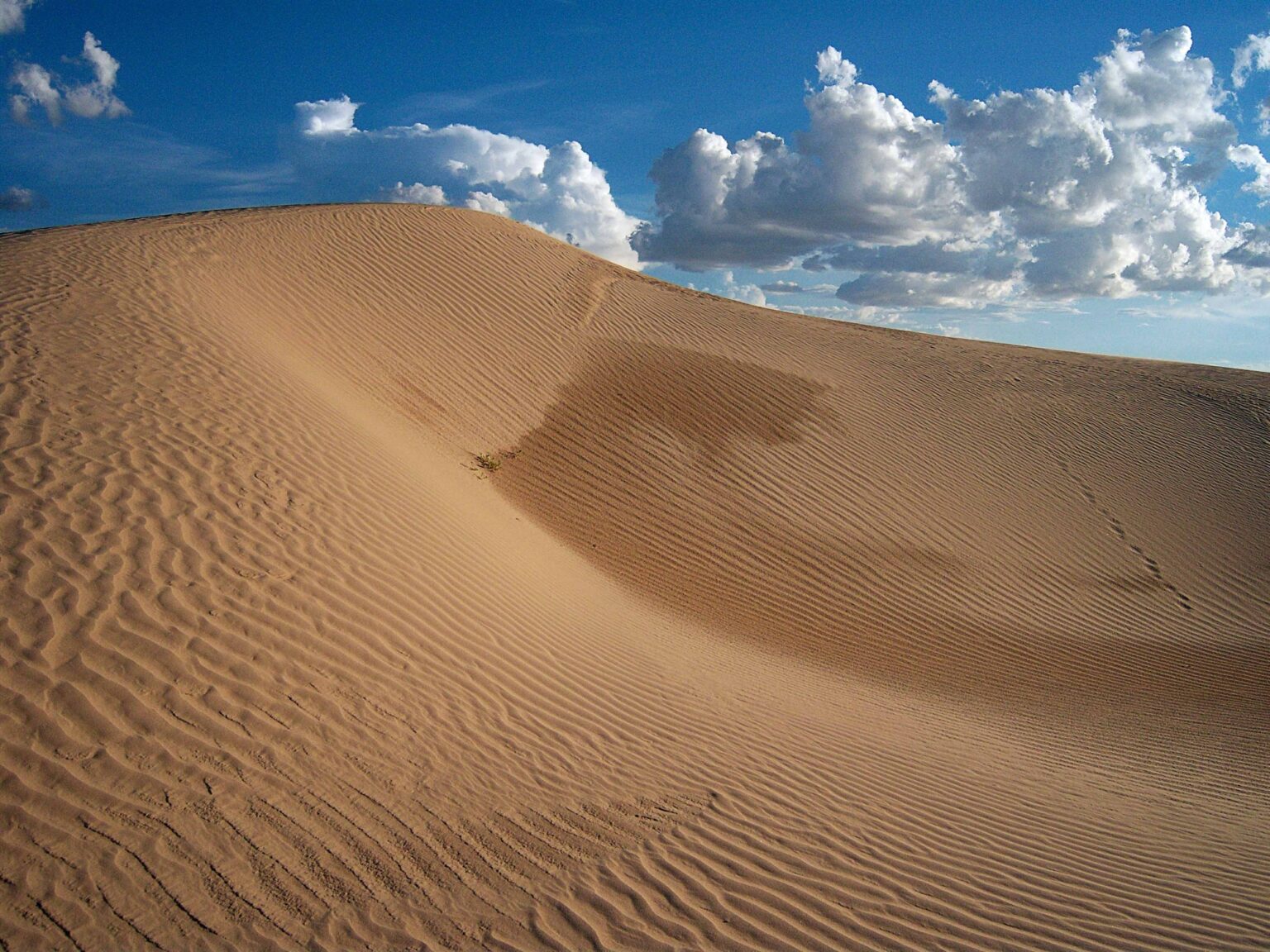 ¿Sabías que…? Las Dunas de Samalayuca, un tesoro del desierto ...