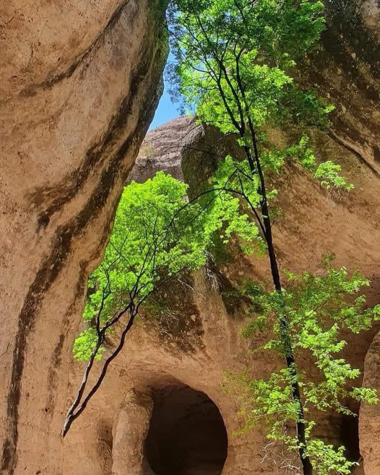 Cañón de Namurachi, un tesoro natural en Chihuahua – Chihuahua ES!